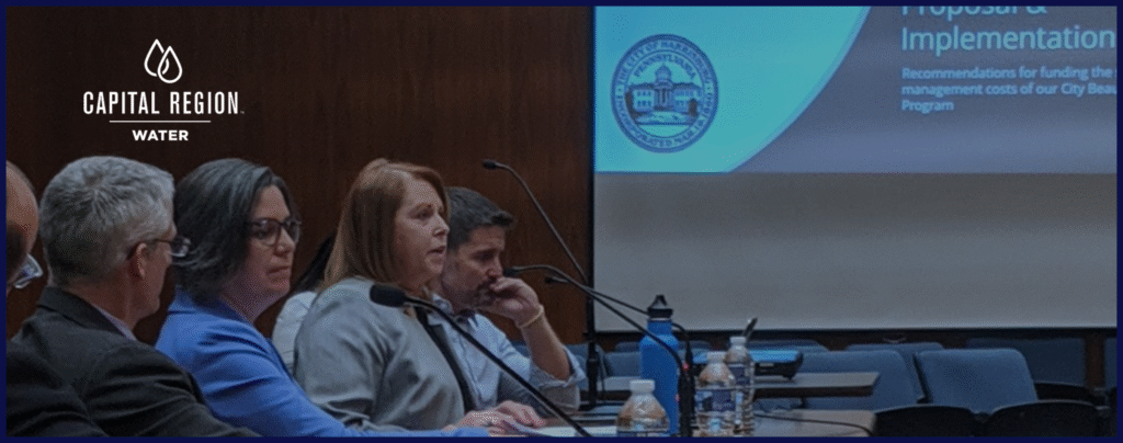 Demonstrating Public Support for a Vital Stormwater Project - Ceisler ...